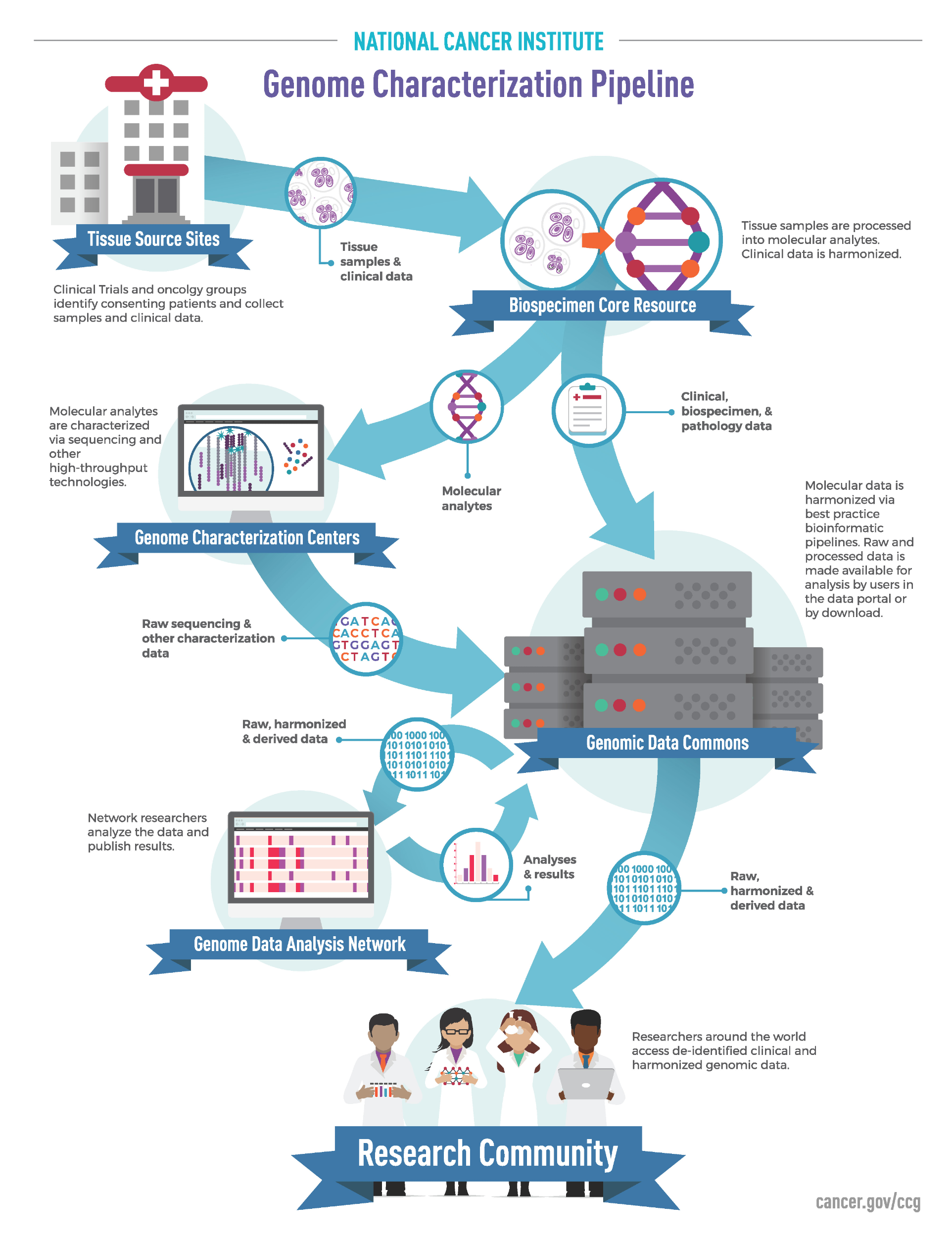 How The Nci Produces Big Data About Cancer Nci